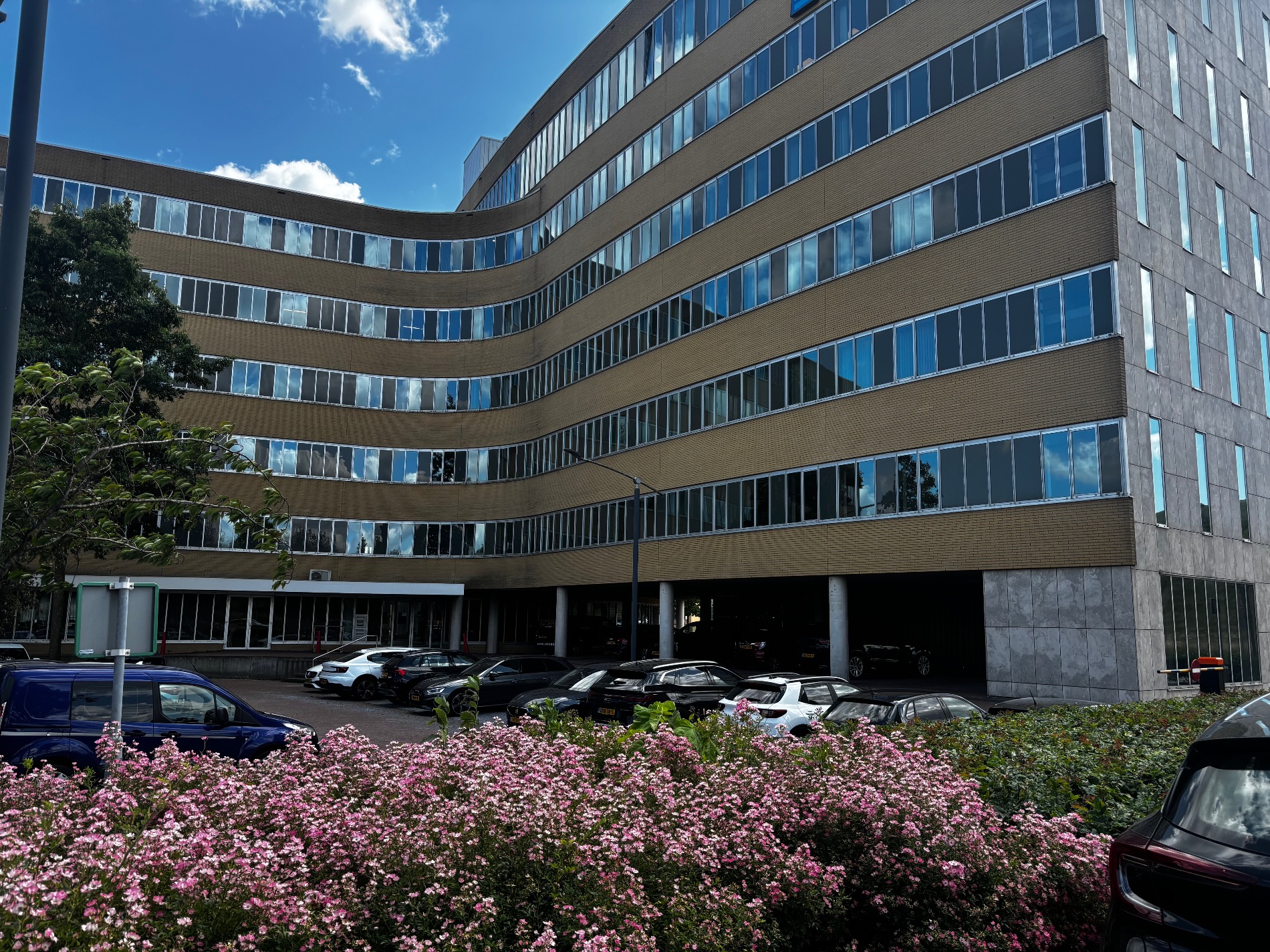 The Audit Generation in Arnhem | FinchOnline